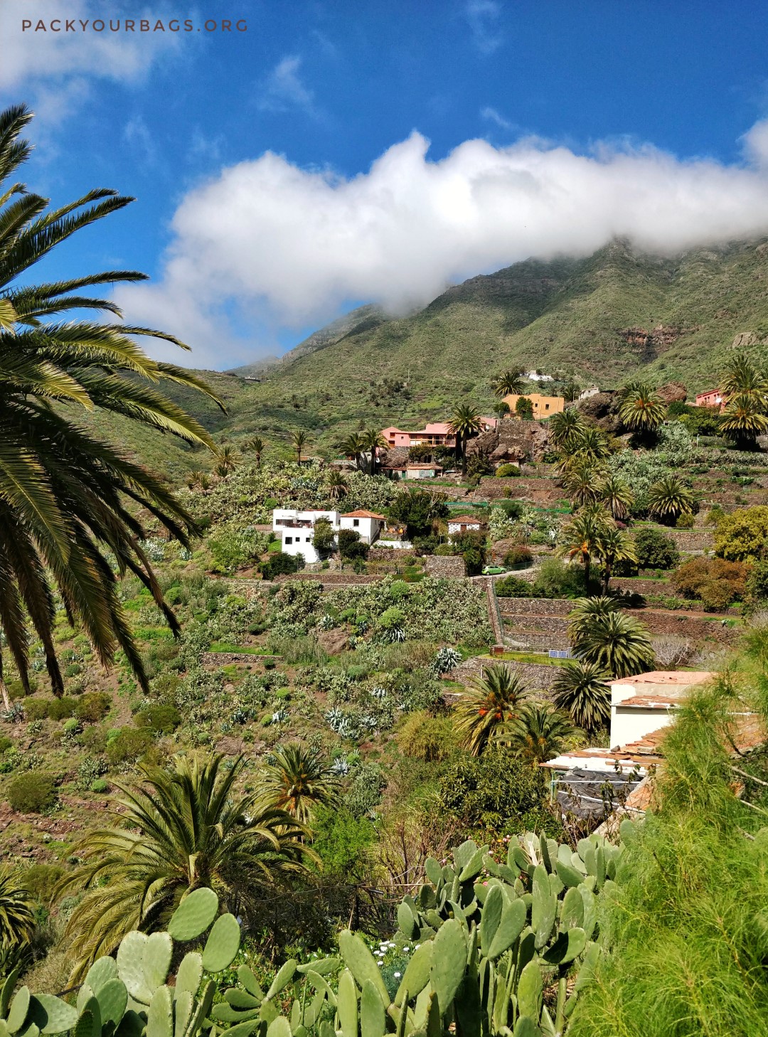 Top Hikes on Tenerife With (or Without) Kids - Pack your bags