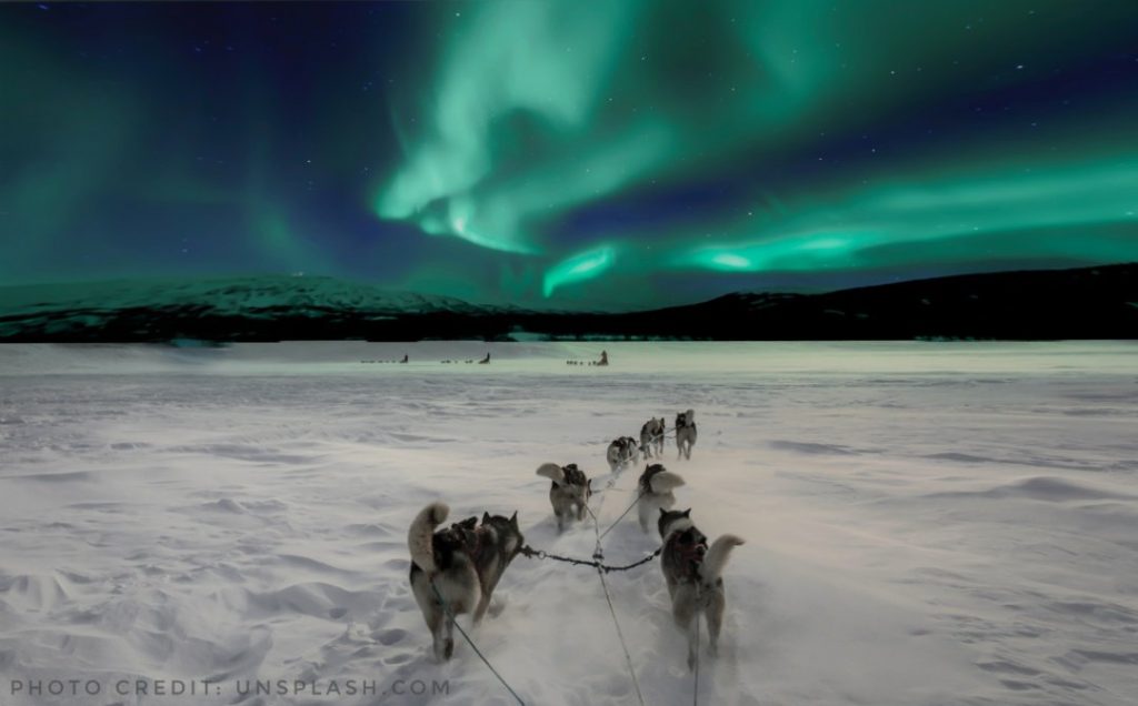 Why You Should Visit Manitoba in Wintertime - pack your bags